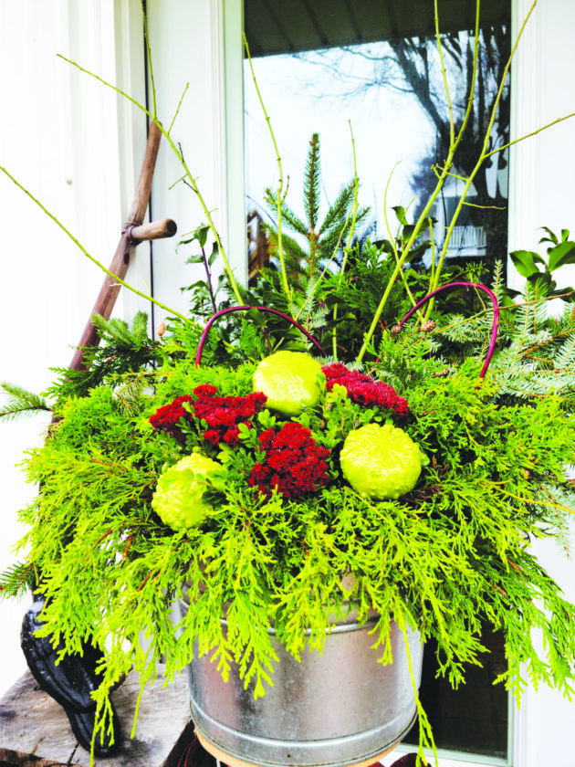 Nature’s elements make fun containers | News, Sports, Jobs - The Vindicator